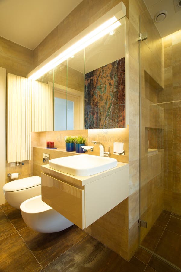 Bathroom with Toilet and Bidet Stock Image - Image of house, elegance ...