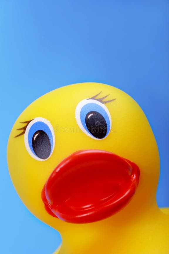 Bathtime stock image. Image of gormless, facial, animal - 1494803