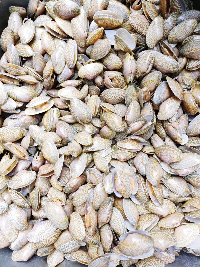 150 Batik Fish Stock Photos - Free & Royalty-Free Stock Photos from ...