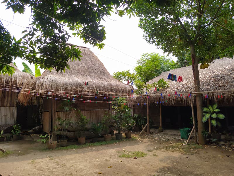Traditional javanese house editorial photo. Image of leaves - 198674591