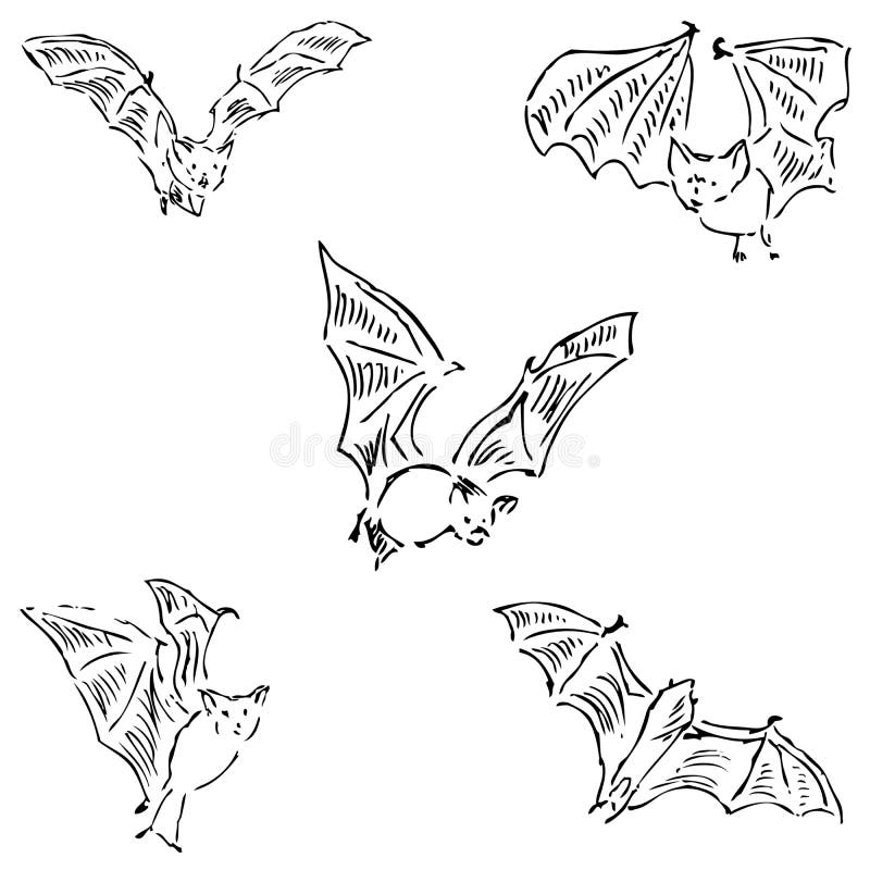 Bats in Different Positions. Pencil Sketch by Hand Stock Vector ...