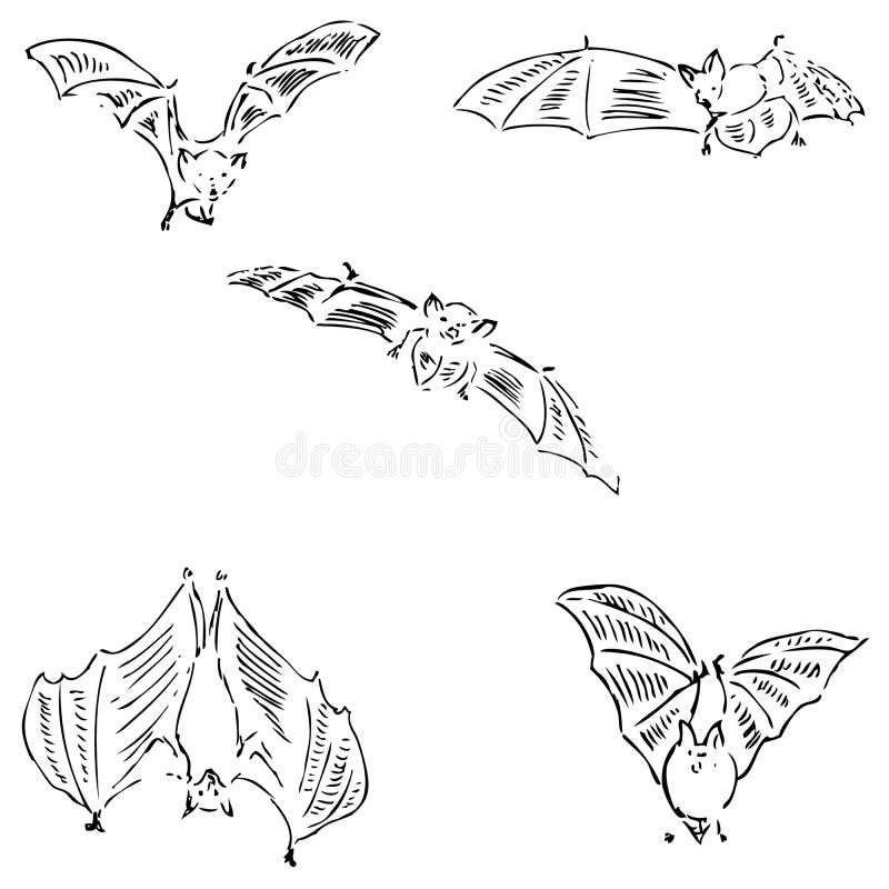 Bats In Different Positions. Pencil Sketch By Hand Stock Vector ...