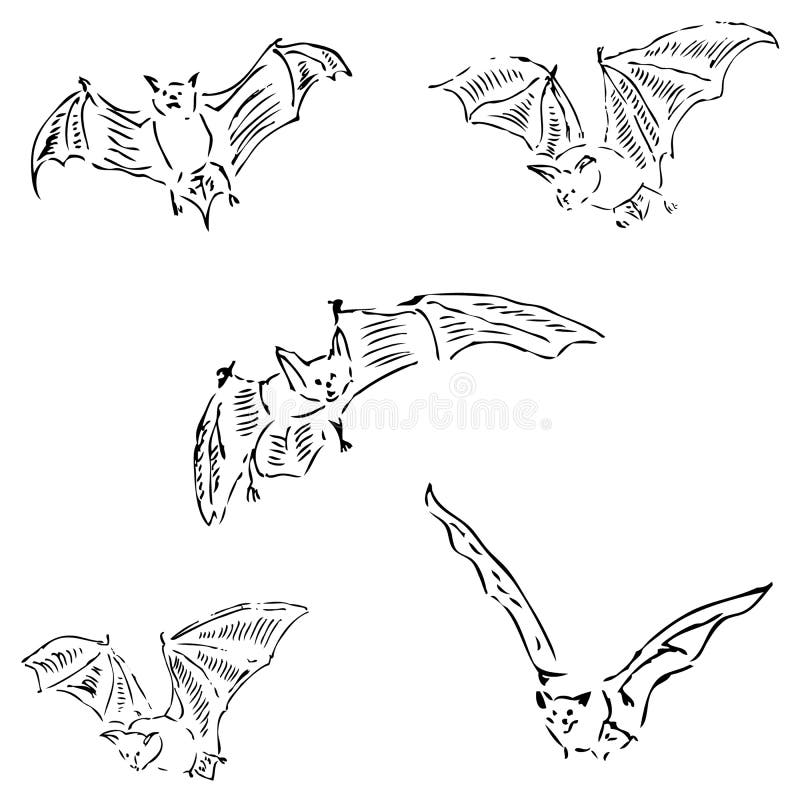 Bats in Different Positions. Pencil Sketch by Hand Stock Vector ...