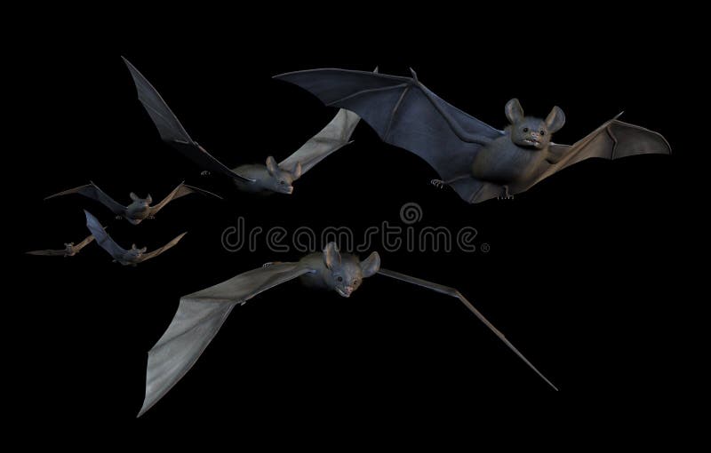 Flying Bats - Includes Clipping Path Stock Illustration - Illustration ...
