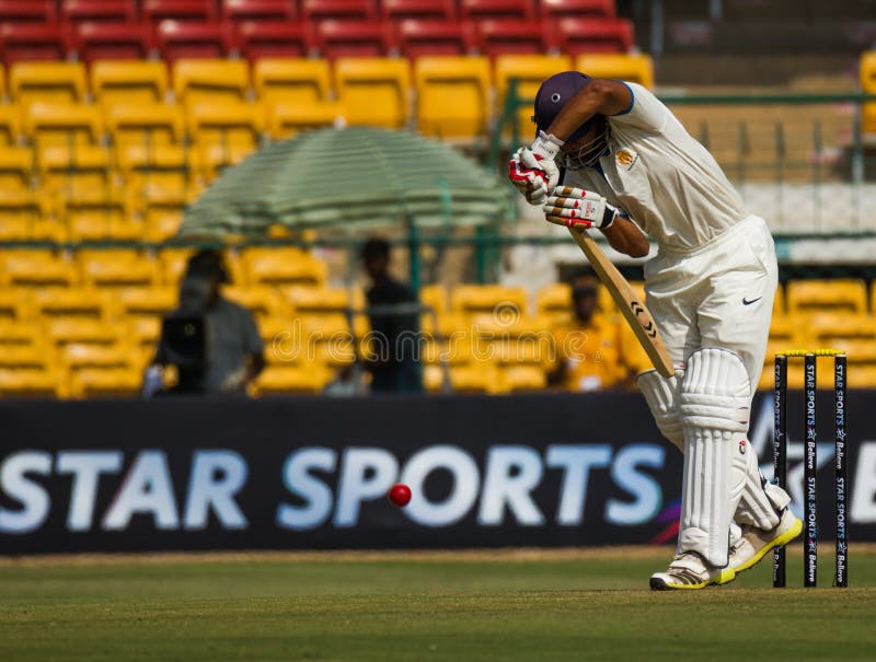 Batsman out editorial photo. Image of walking, cricket - 37727826