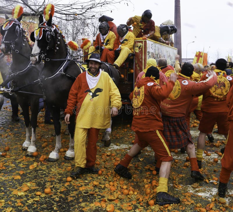 Battle of orange editorial image. Image of battle, tree - 61198920