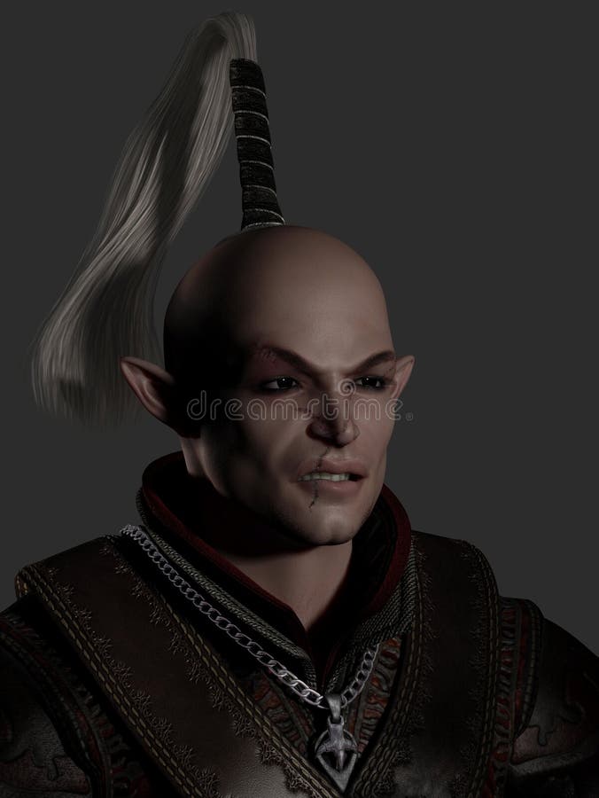 Battle Scarred Elf Warrior Portrait Stock Illustration - Illustration ...