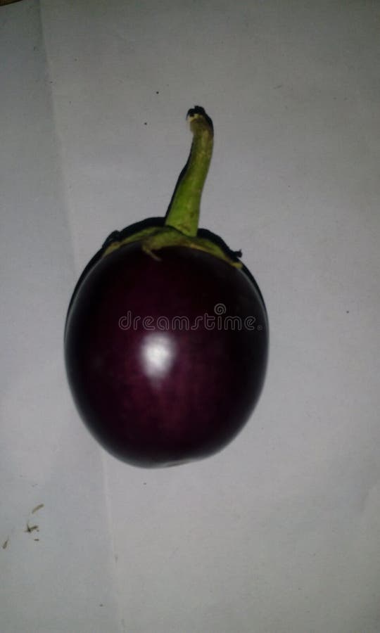 Batu, binjol stock photo. Image of vegetable, fresh - 145977204