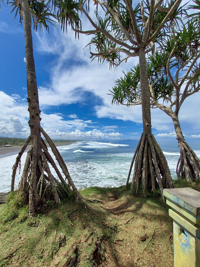 Batu Hiu Beach, Pangandaran Stock Image - Image of batu, bluesky: 261779739