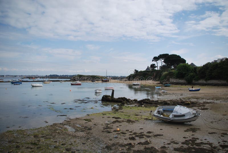 Batz island editorial stock photo. Image of finistauml - 98815683