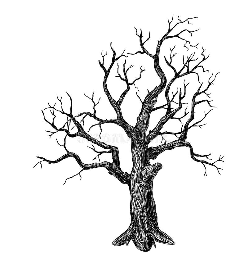 Schwarzer Baum Ohne Blätter, Vektor Vektor Abbildung - Illustration von ...