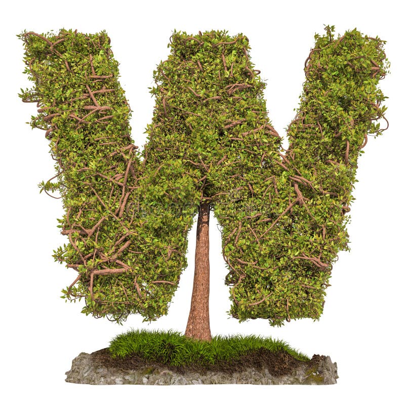 Baum-Buchstabe B Baum, in Geformt Von Buchstaben B, Wiedergabe 3D Stock ...