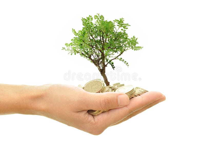 Eine Hand Voll Des Geldes Und Der Holding Ein Baum Stockbild - Bild von ...