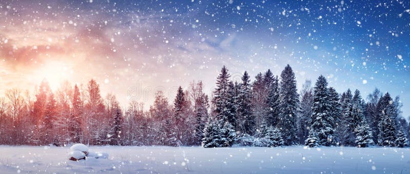 Baum in Der Winter-Landschaft Stockbild - Bild von eisig, schön: 79646329