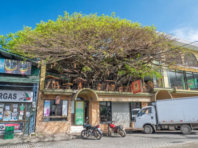 Baum-Haus in Costa Rica redaktionelles stockbild. Bild von hölzern ...