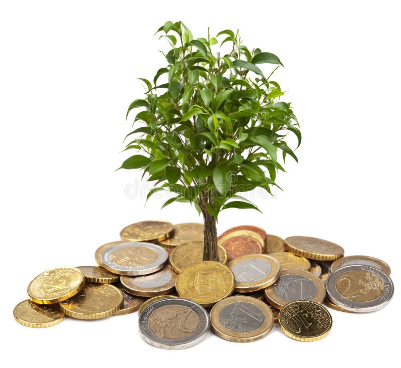 Baum Auf Dem Geld, Getrennt. Stockfoto - Bild von konzept, münze: 10955588