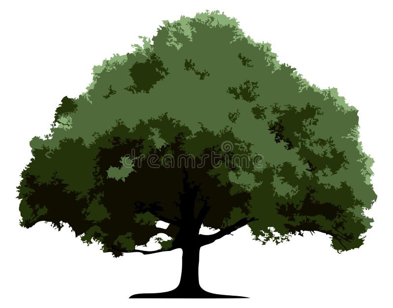 Baum (Vektor) vektor abbildung. Illustration von wald - 2371250