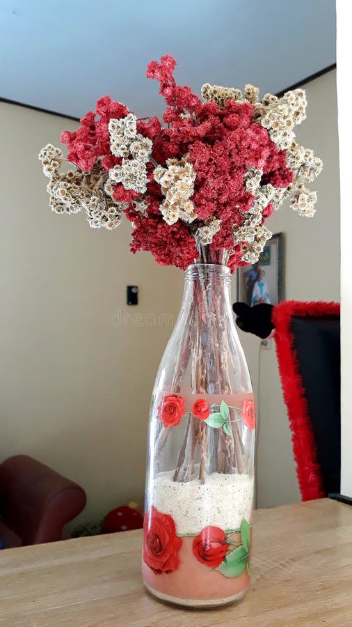 Bautiful Dried Edelweiss Flower Stock Photo - Image of flower, petal ...