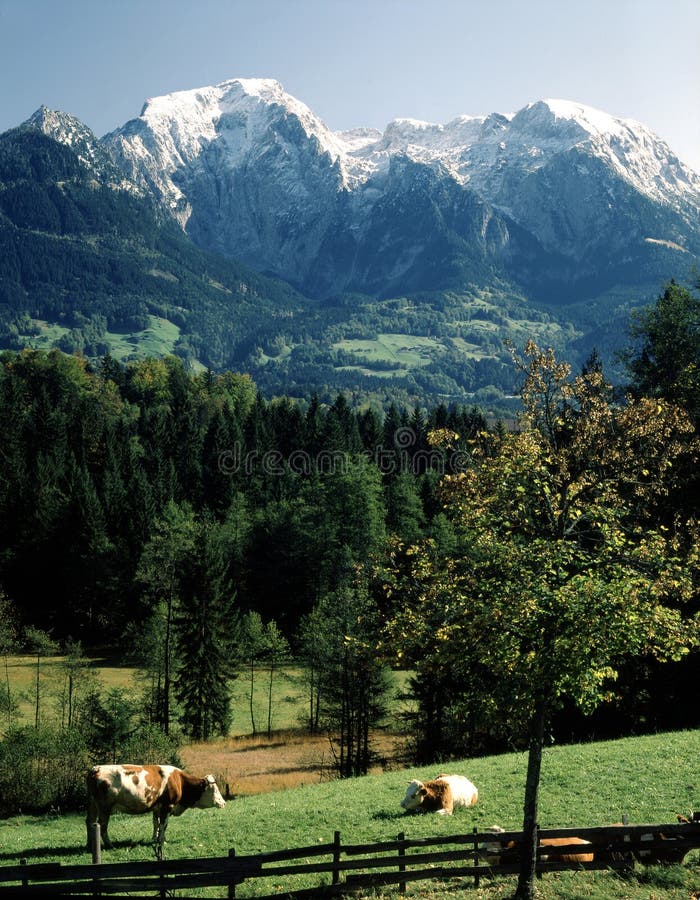 Bavarian Alps stock photo. Image of landscape, europe - 29551142