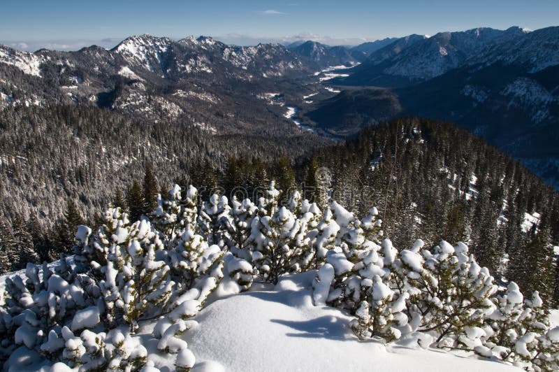 Bavarian Alps mountains stock photo. Image of alps, picturesque - 12808128