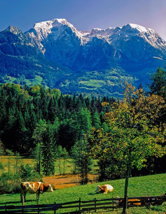 Bavarian Scenery stock image. Image of bavaria, fall - 18763817