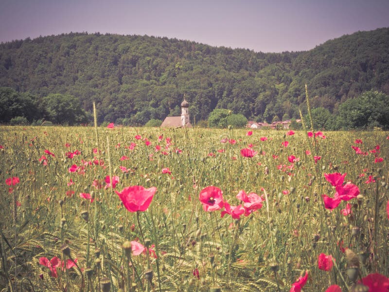 Bavarian Fields stock image. Image of hills, landscape - 55479751