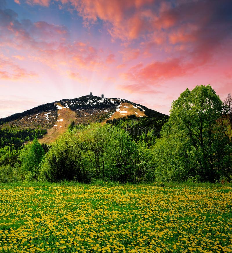 Bavarian Forest stock photo. Image of environment, bavarian - 31567606