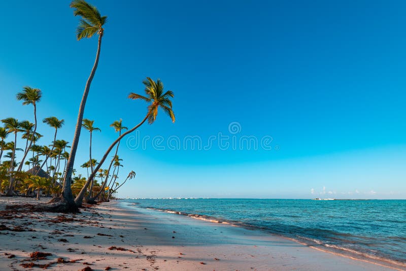 Bavaro Beach in Punta Cana stock image. Image of bavaro - 266204433