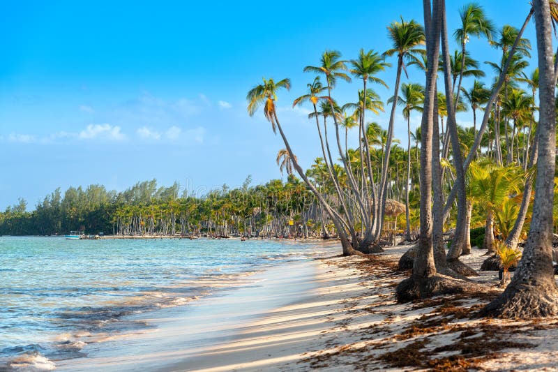 Bavaro Beach in Punta Cana stock image. Image of island - 276033923