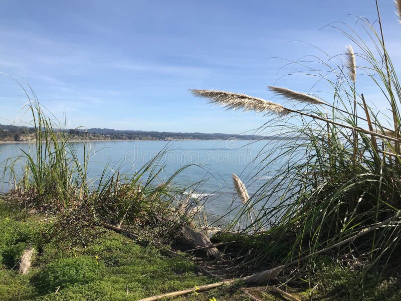Bay through beach grasses stock photo. Image of blue - 144717606