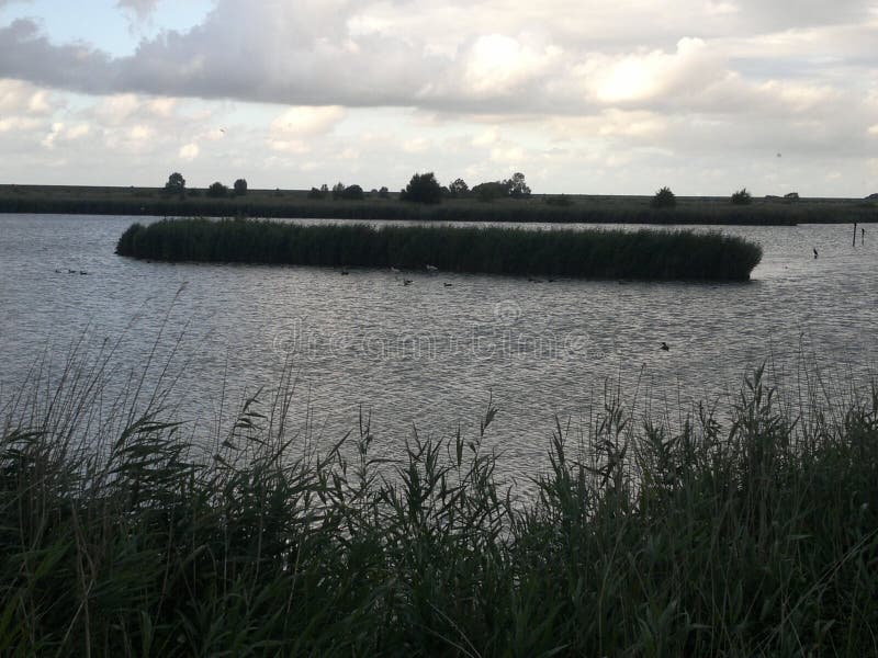 Bay with grass and birds stock image. Image of north - 97859373