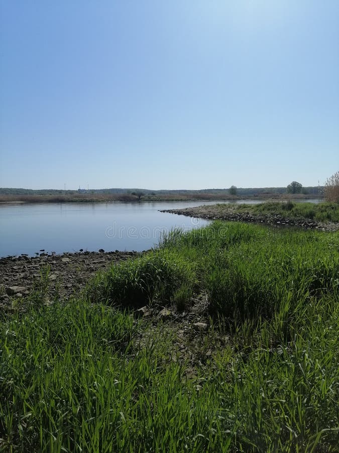 Bay with Grass and Blue Sky Stock Image - Image of water, wetland ...