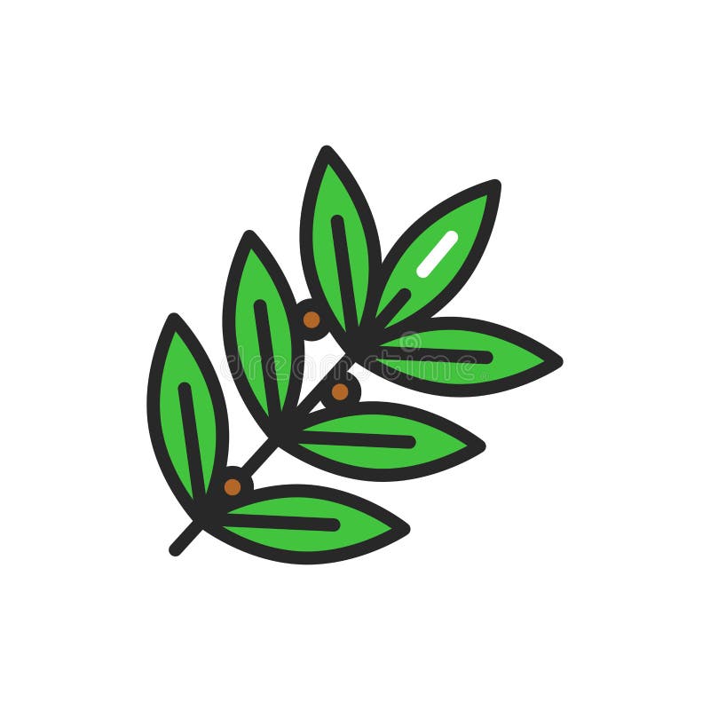 Bay Leaf Color Line Icon. Spices Product Stock Vector - Illustration of ...