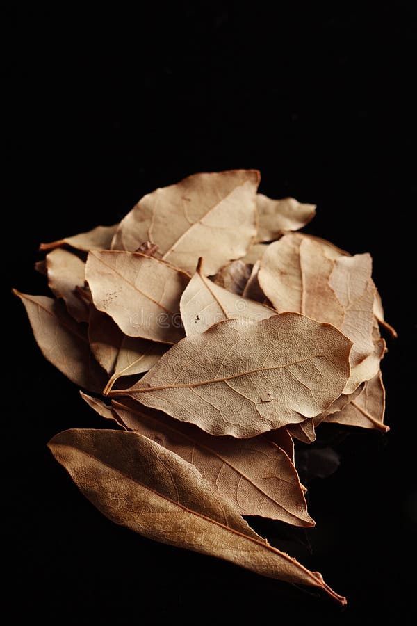 Bay leaf, dried herb stock photo. Image of organic, natural - 11860816