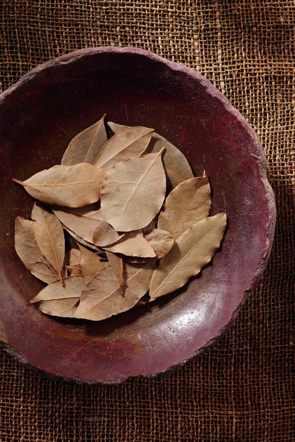 Bay leaf, dried herb stock photo. Image of organic, natural - 11860816