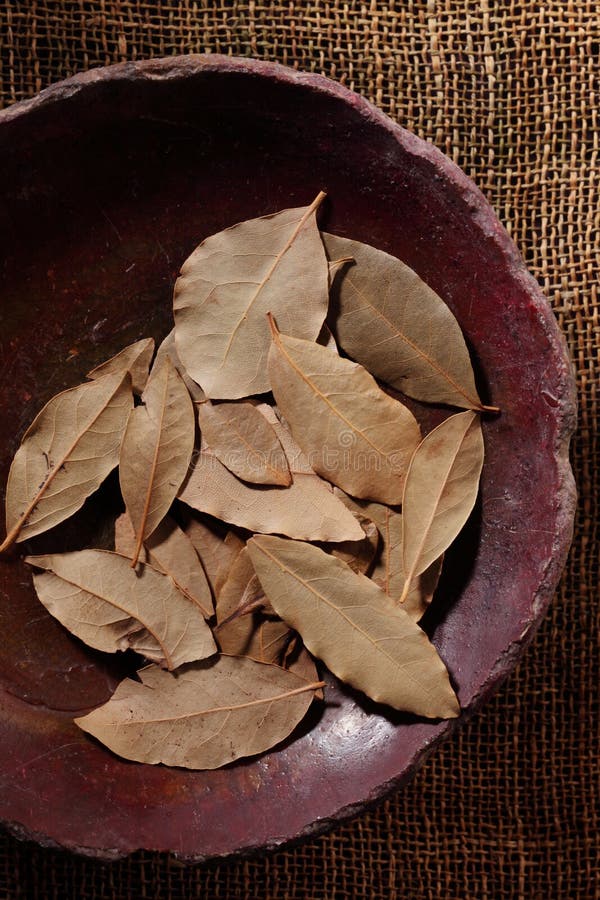 Bay leaf, dried herb stock photo. Image of organic, natural - 11860816