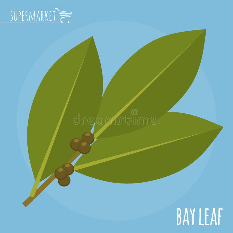 Bay Leaf Flat Design Vector Icon. Stock Vector - Illustration of ...