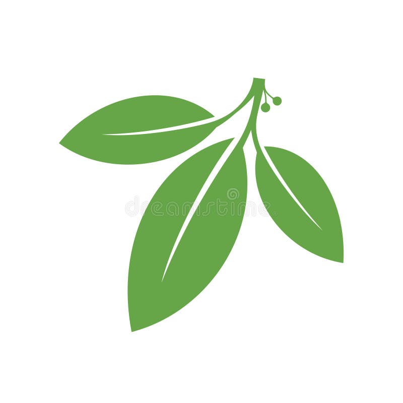 Bay Leaf Isolated Logo Icon. White Silhouette. Vector Stock ...