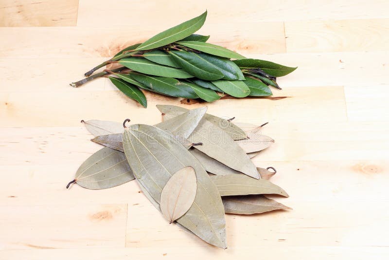 Bay leaf herb spice stock photo. Image of culinary, seasoning - 84358694