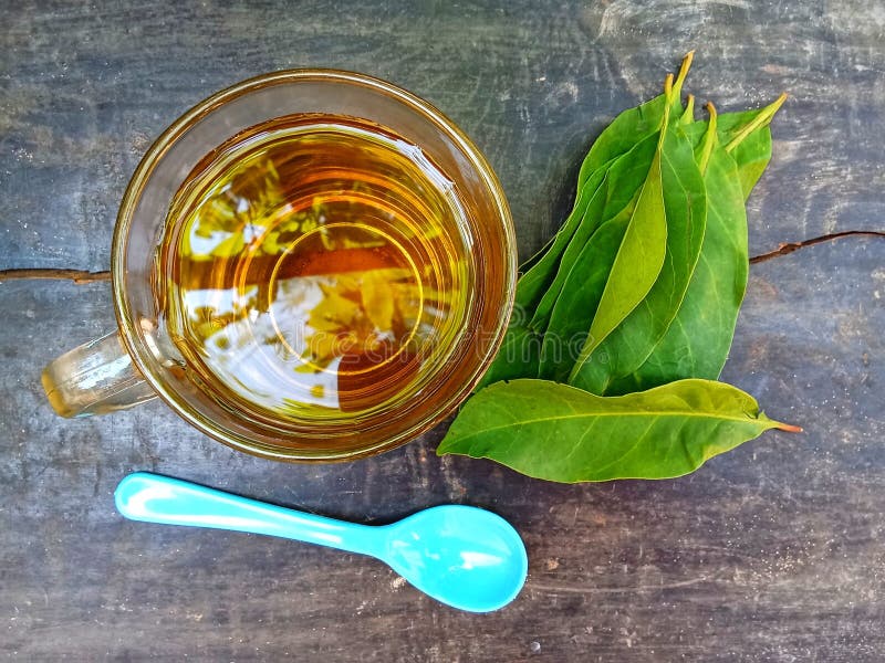 Bay Leaf Tea Have Many Benefits To Healthy Stock Photo - Image of ...