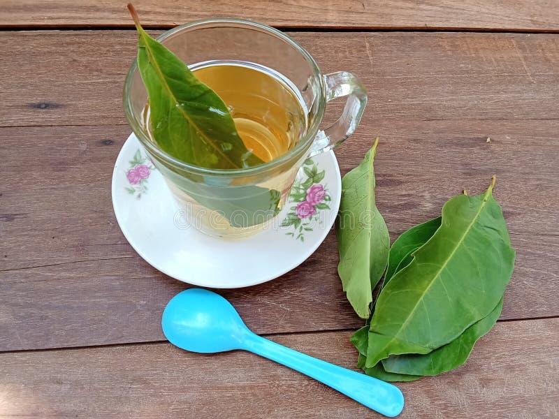 Bay Leaf Tea Have Many Benefits To Healthy Stock Image - Image of ...