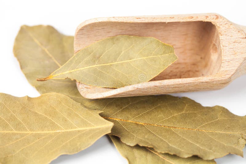 Bay Leave Herb on White Background Stock Photo - Image of culinary ...