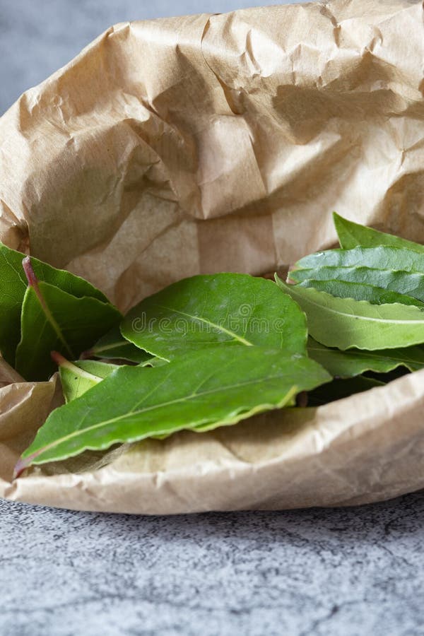 Bay Leaves in a Brown Paper Bag. Eco Friendly Packaging Stock Photo ...