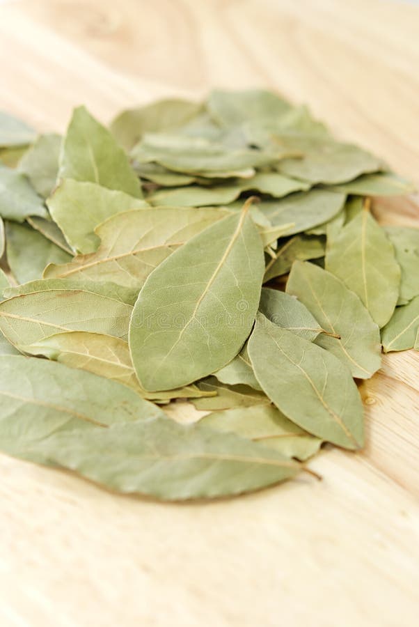Bay leaf stock image. Image of organic, aromatic, spice - 18358861