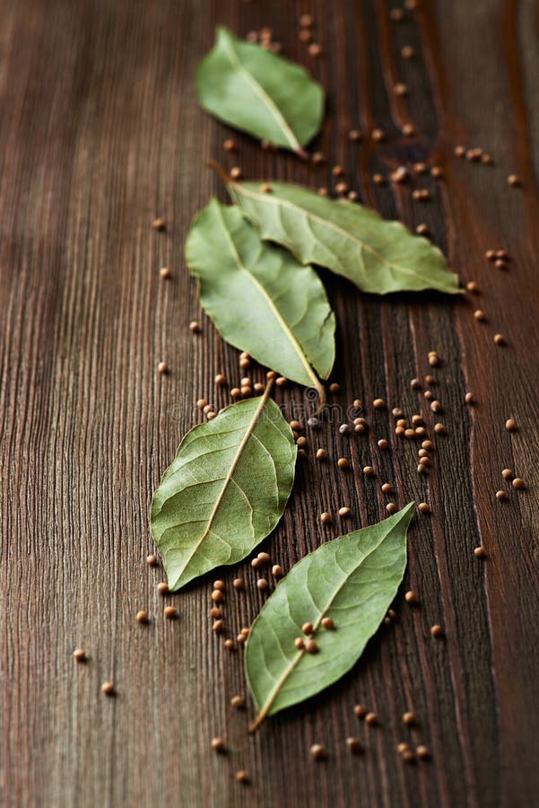 Bay Leaves and Mustard Seeds Stock Image - Image of cooking, mustard ...