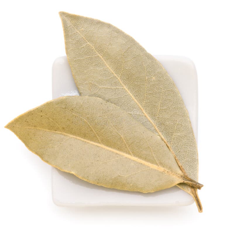 Bay Leaves in a White Bowl on White Background. Stock Image - Image of ...