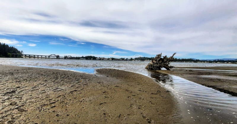Bay river stock photo. Image of cloud, cove, mudflat - 233965672