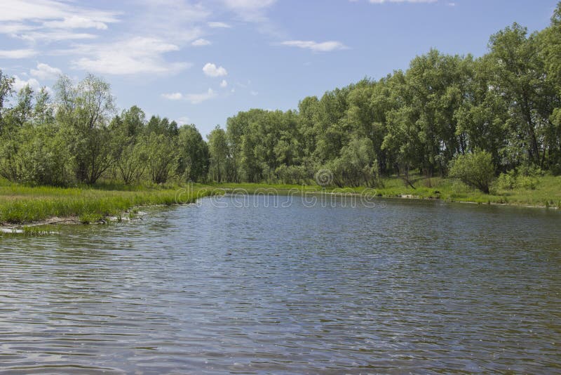 The Bay of the River in Sunlight Stock Image - Image of clouds, scenic ...
