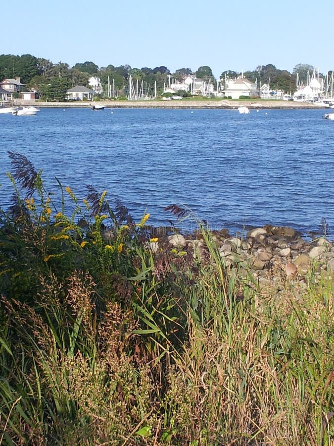 The bay stock image. Image of water, green, ocean, summer - 94083261