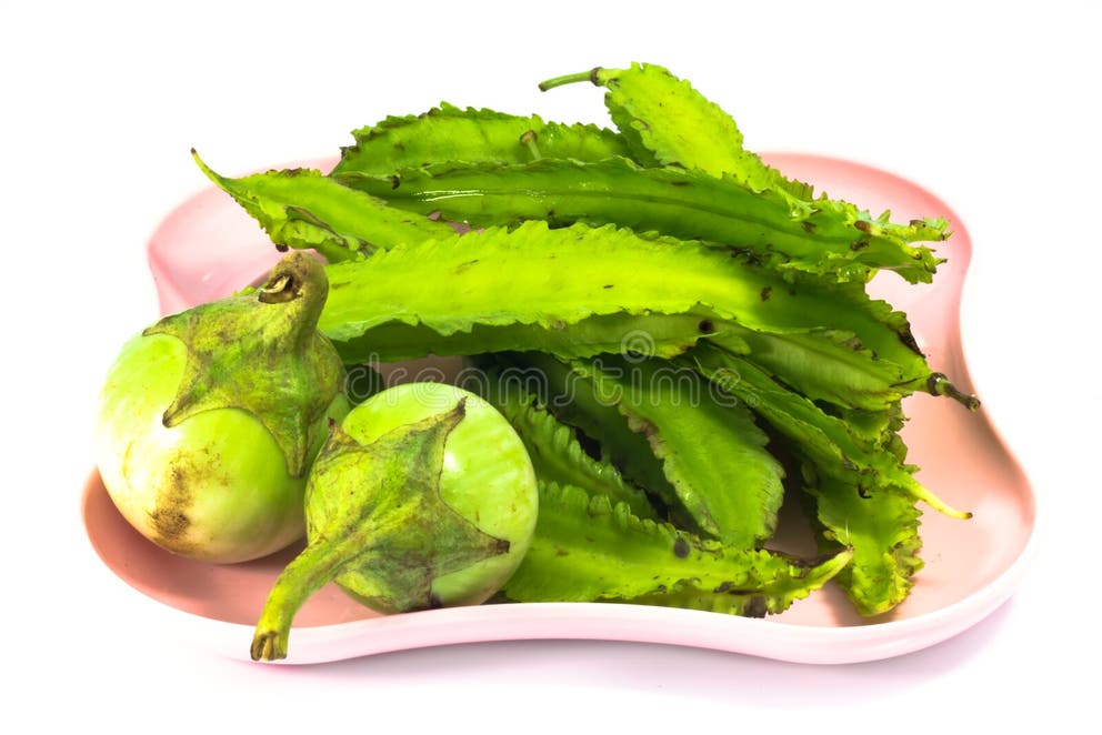 Baya Coa Alas Verde De Beans&Cockroach Aislada Foto de archivo - Imagen ...